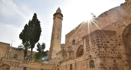 Holy Land Tours, Llc